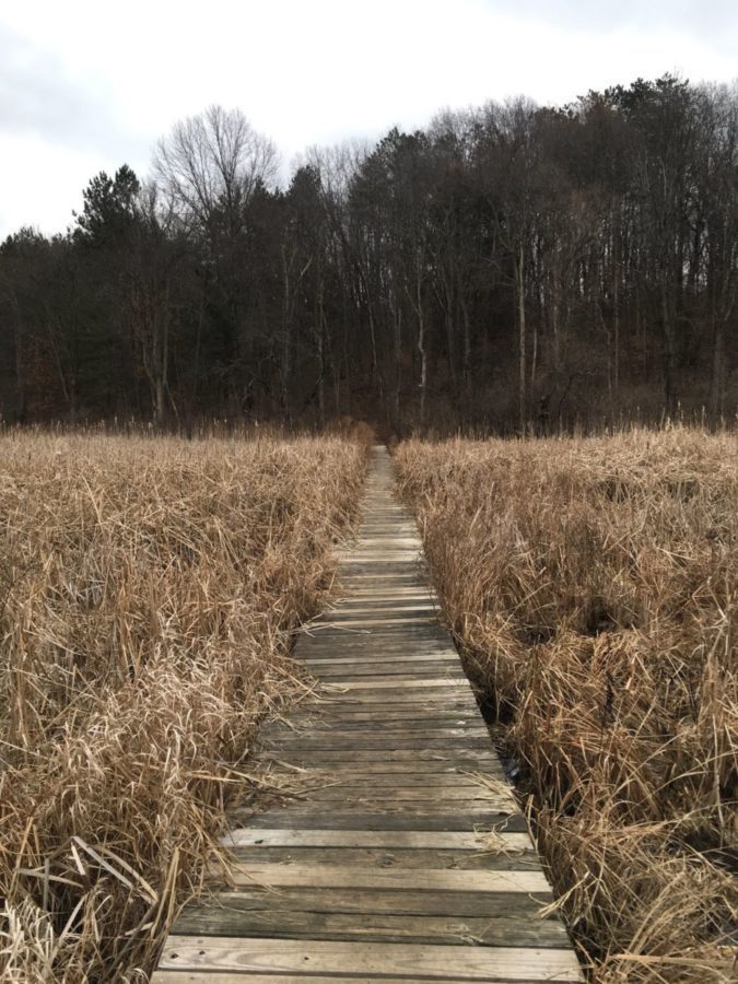 Waterloo State Recreation Area | Chelsea Michigan | chelseamich.com