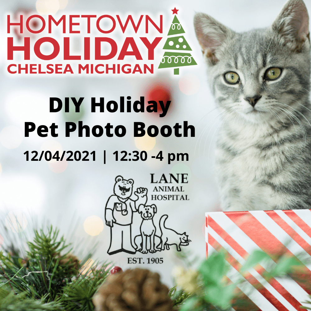 Hometown Holidays | DIY Holiday Pet Photo Booth | Chelsea Michigan ...