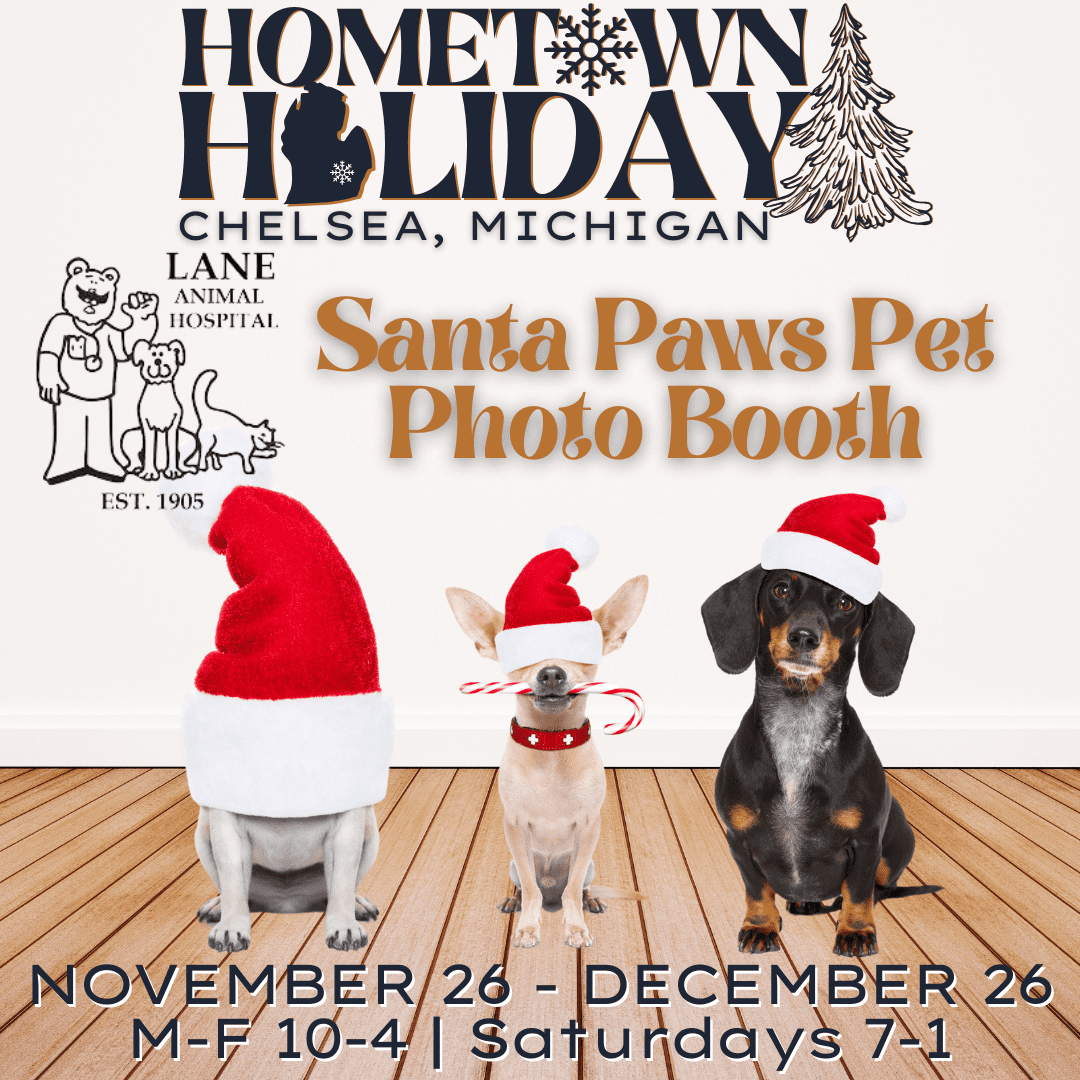 Hometown Holidays | Santa Paws Pet Photo Booth | Chelsea Michigan ...