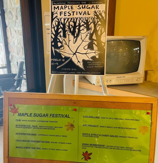 Making Maple | Chelsea Michigan | chelseamich.com