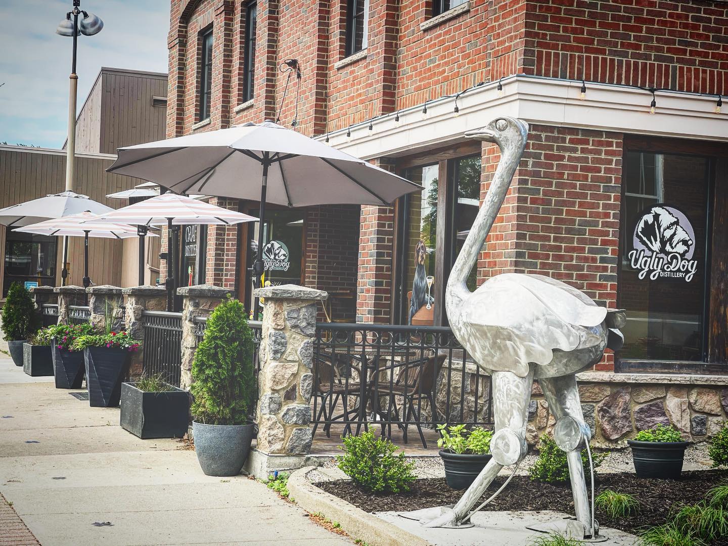 The Historic Downtown Chelsea Social District | Chelsea Michigan ...