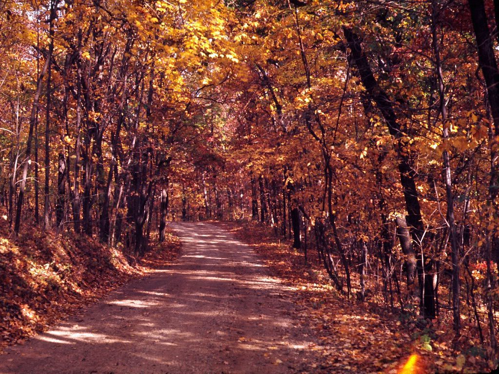 FALL WATERLOO HISTORY HIKE | Chelsea Michigan | chelseamich.com