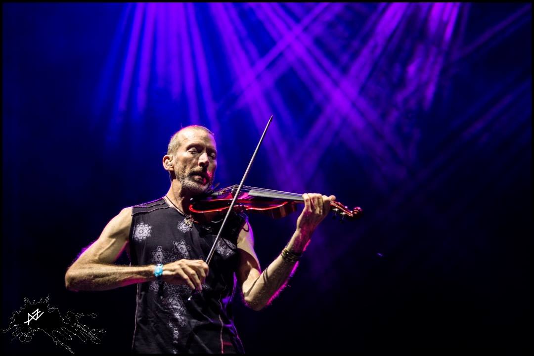 Dixon's Violin LIVE! | Chelsea Michigan | chelseamich.com
